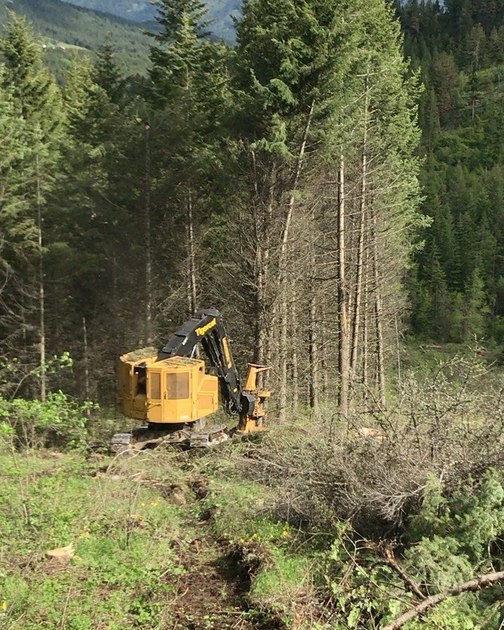 Elite Timber Cutting LLC – Contract Buncher